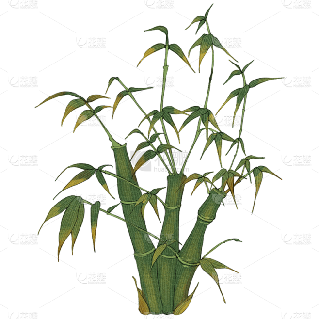 手绘-工笔画竹子植物贴纸8