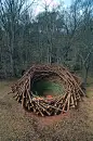 The Clemson Clay Nest by Nils-Udo was constructed in the botanical ...