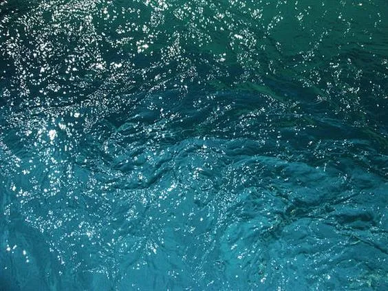 (431) Pinterest-花瓣网