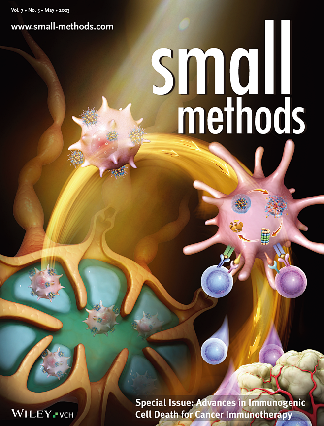 Small Methods - 2023 - Jia - A Fluorinated Supramolecular Self‐Assembled Peptide as Nanovaccine ...