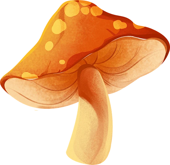 春季节气完整插画A-蘑菇-花瓣网