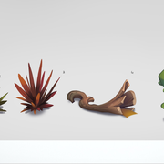 Eri Hasu , Aaron Walker : Some personal work based on a concept by the ...