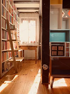 通用实景树木绿色植物元素素材-花瓣网