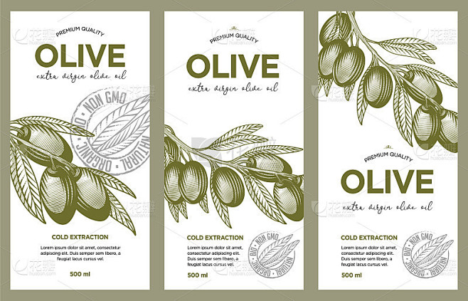 Olive oil label set.