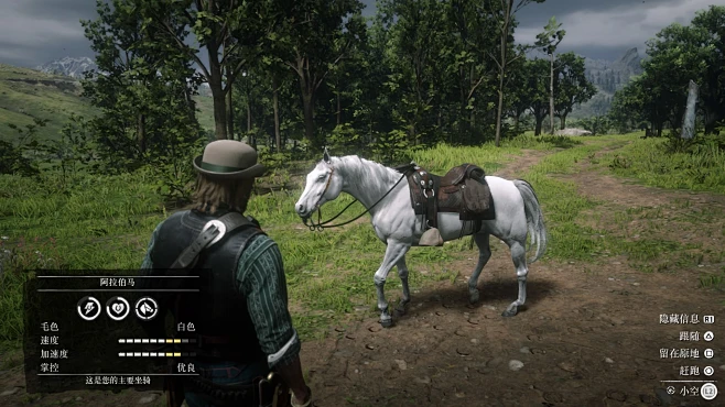 阿拉伯马3种颜色全齐了，合影留念_看图_荒野大镖客2吧_百度贴吧-花瓣网