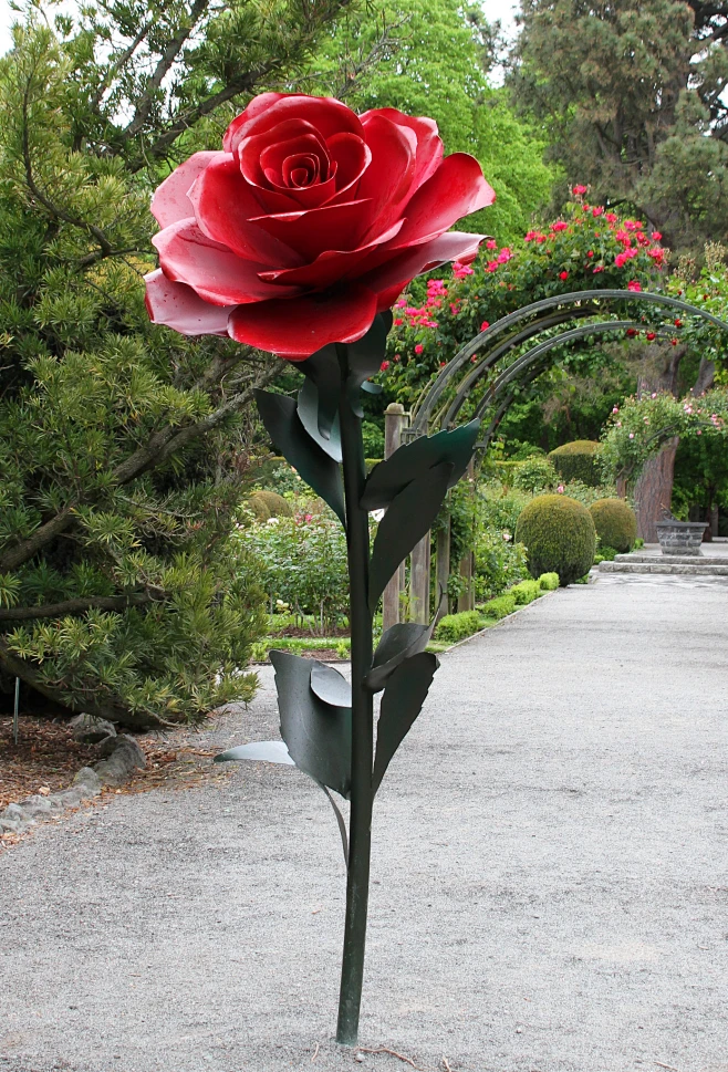 Giant Rose : Explore ahisgett photos on Flickr. ahisgett has uploaded ...