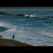 #pofi无限人偶# pofi无限人偶超话 #Pose库# 你们心心念念的芭蕾舞Pose库上线日期正式敲定！舞蹈动作系列芭蕾舞Pose库将于 ...