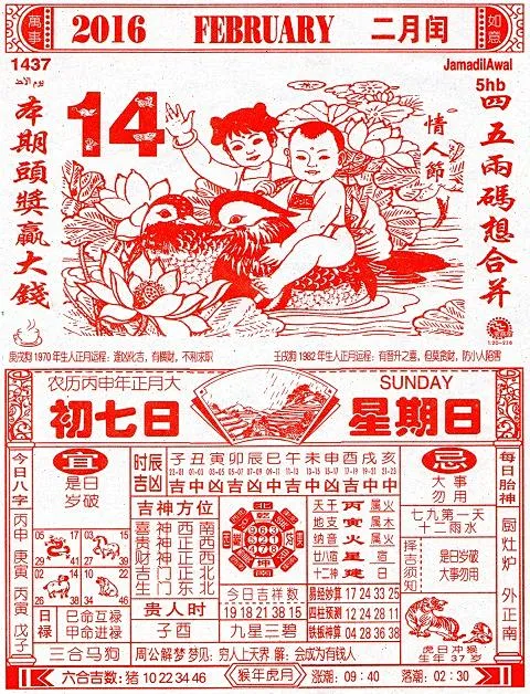 (31) Pinterest-花瓣网