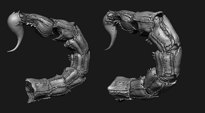 TAILS - 33 meshes & Curve brushes, Bernhard van der Horst : The Tails ...