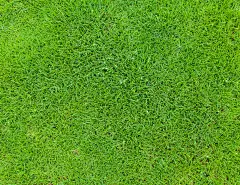 cloth_A1 (274)-花瓣网