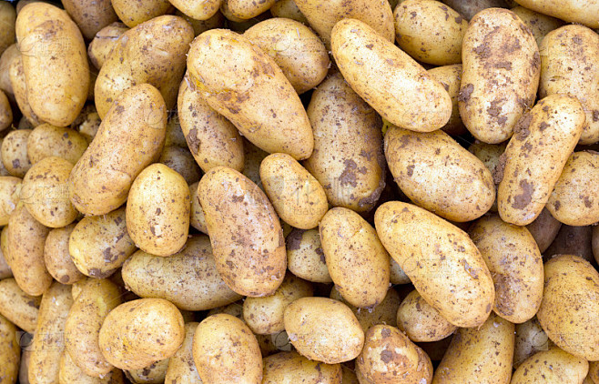 Potatoe背景