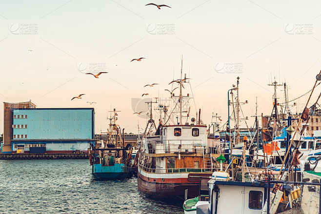Ship in the harbor