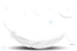 白羽毛