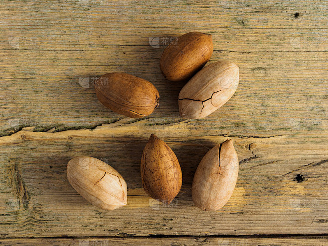 A few necanone nuts in a cracked shell. Nuts on a