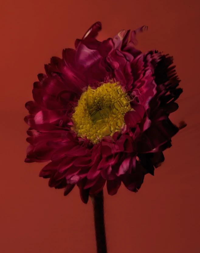 greg marino / still-life photographer nyc : greg marino is a new york ...