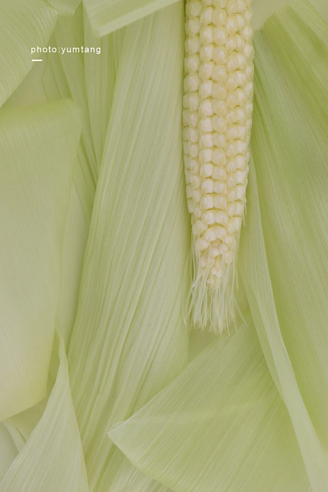 yum tang on Behance-花瓣网