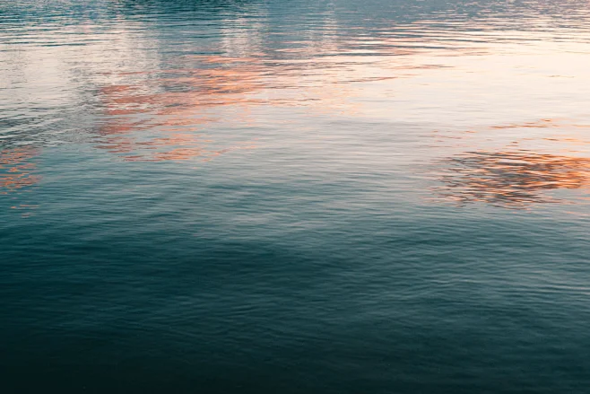 Let it settle-花瓣网