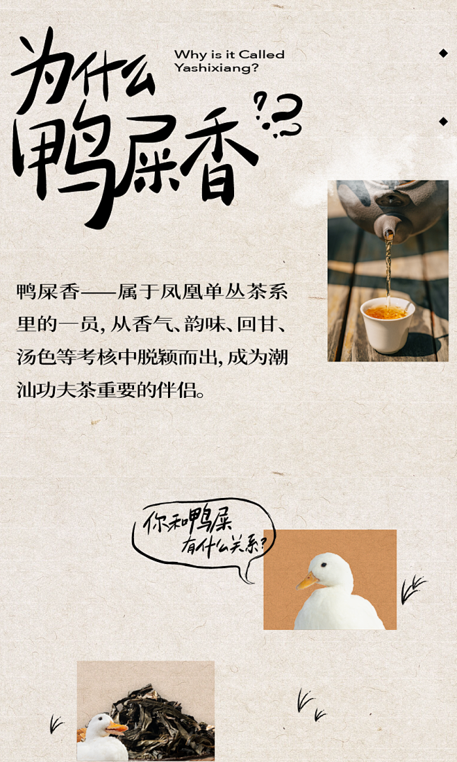 鸭屎香，嘎嘎香 ...