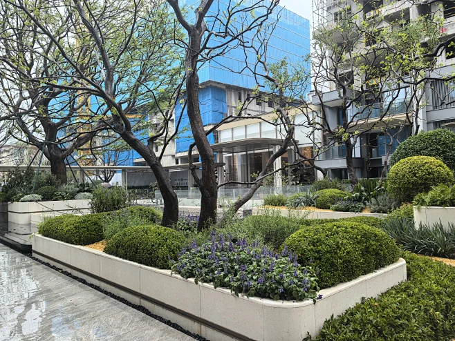 IMG_20250911_101946-花瓣网