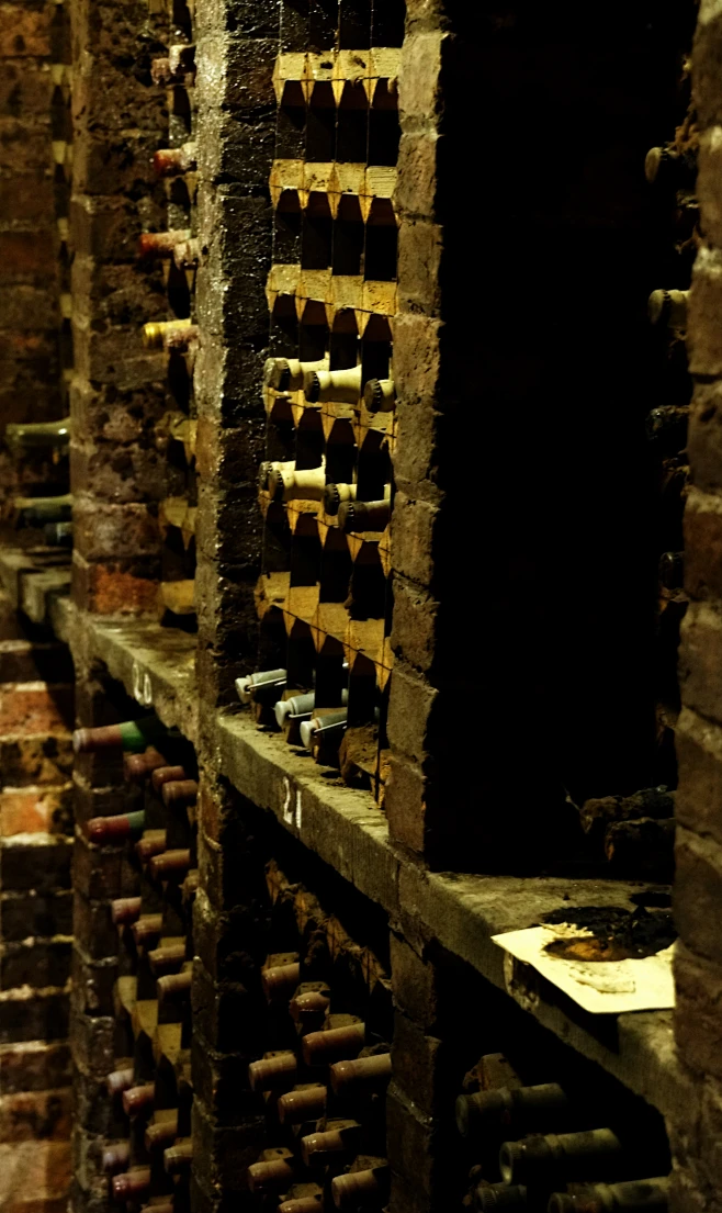 全部尺寸 | Down in the wine cellar | Flickr - 相片分享！-花瓣网