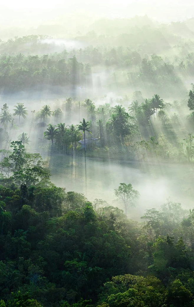 花瓣灵感详情页-花瓣网