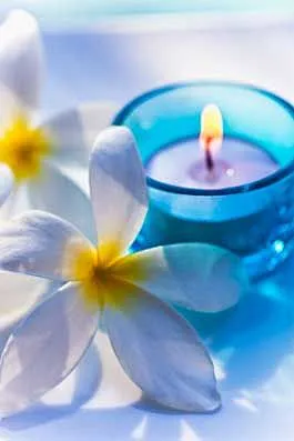 UV Light Inhibitor- 1 oz.-花瓣网