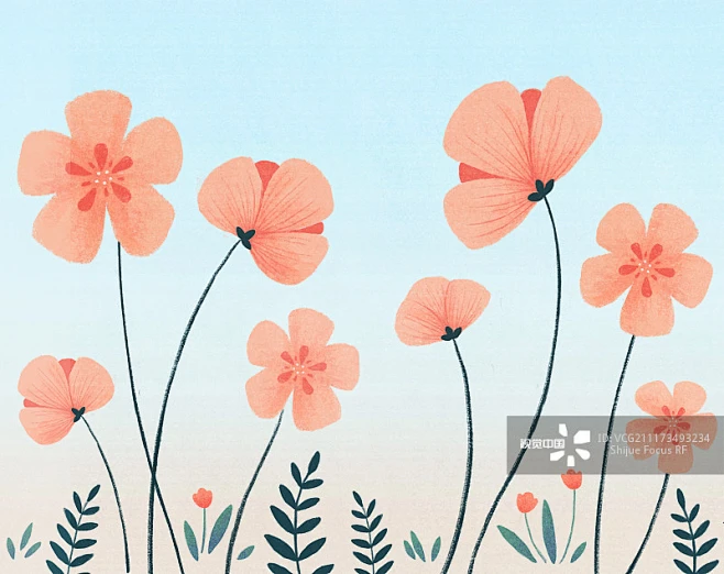 创意图片素材 - Shijue Focus RF-花瓣网