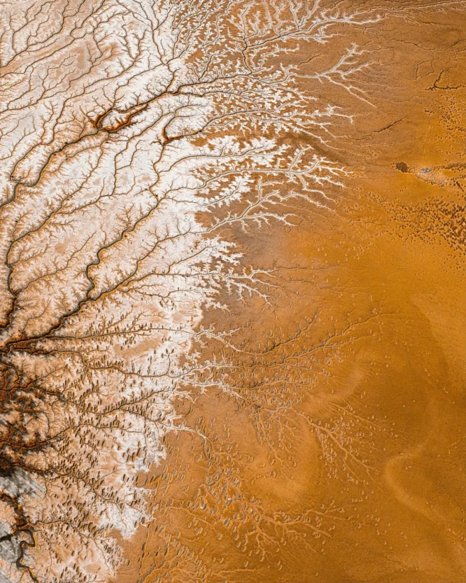 Emilie Ristevski-花瓣网