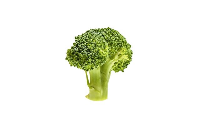 西蓝花图片_果蔬PNG图片素材-花瓣网