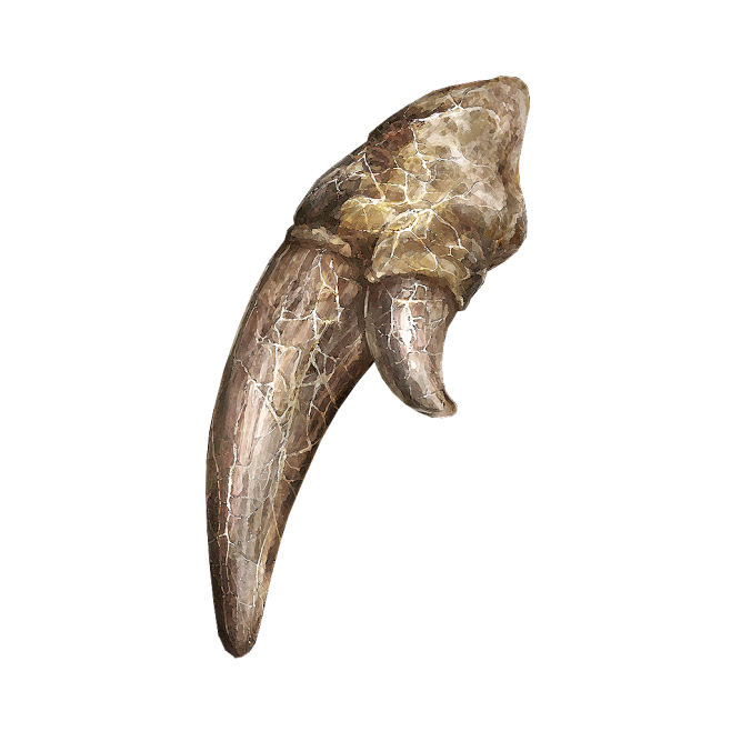 MENU_Knowledge_00510out