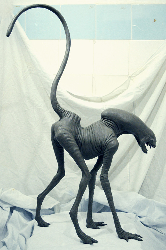 sadan-vague-alien-monkey-cat-4