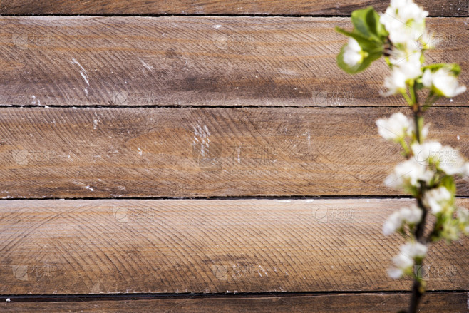 木制背景与白花