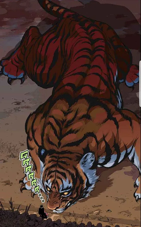 俯视 虎背-花瓣网