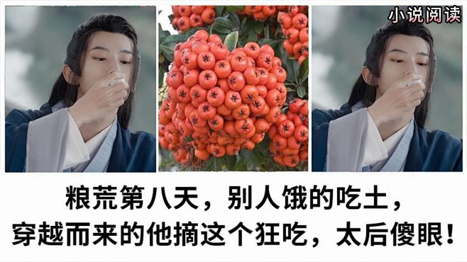 男-历史-大图-无-26LSQ-1214 (4)