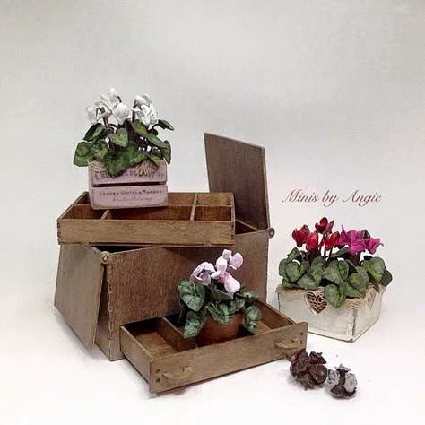 Pinlite-Pinterest中文极速版官网网站-花瓣网