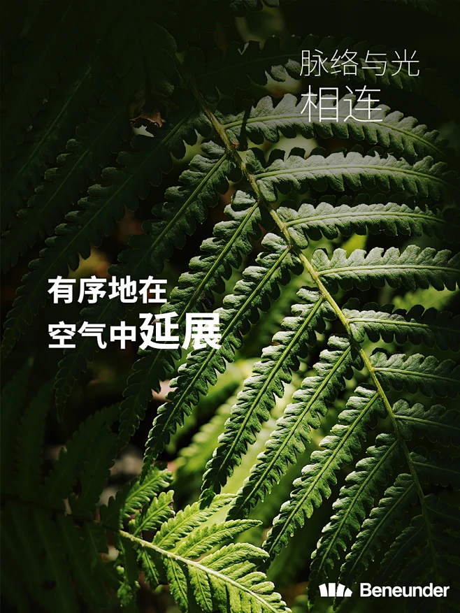 蕉下Beneunder 图片_G-广告文案图片素材-花瓣网