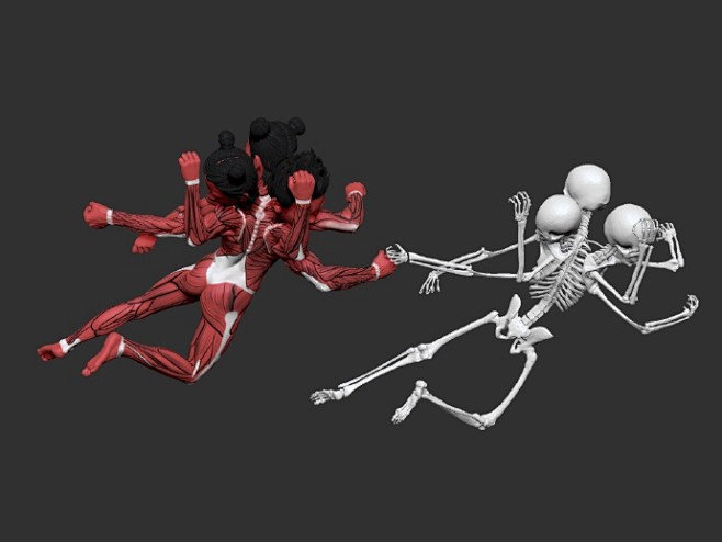 哪吒三头六臂解剖学