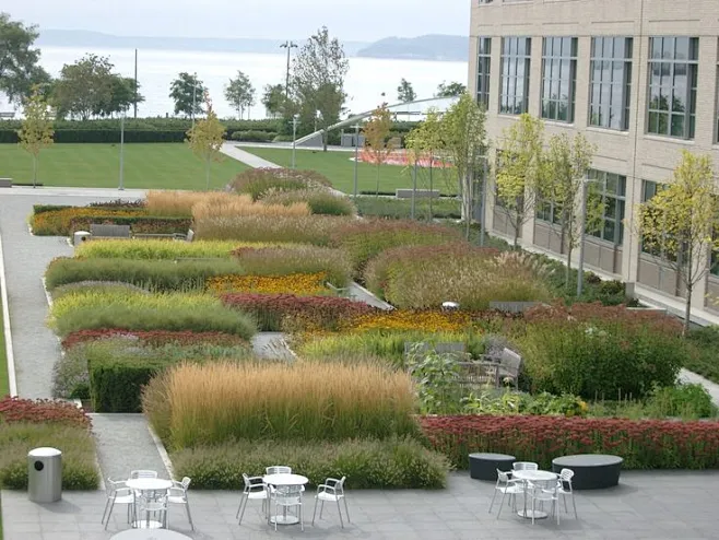 Linear bands of native planting and seating area pockets at Amgen ...
