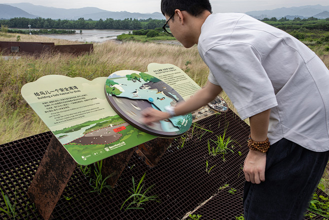 共生领域 %7C 深圳红树林生态公园户外科普互动导视设计_SYM_d87a002a