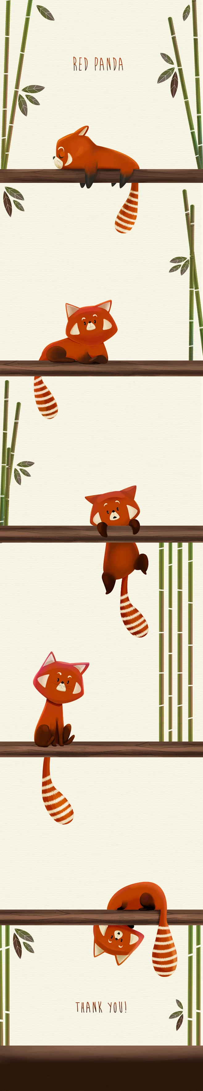 Red Panda : Illustrations for personal project-花瓣网