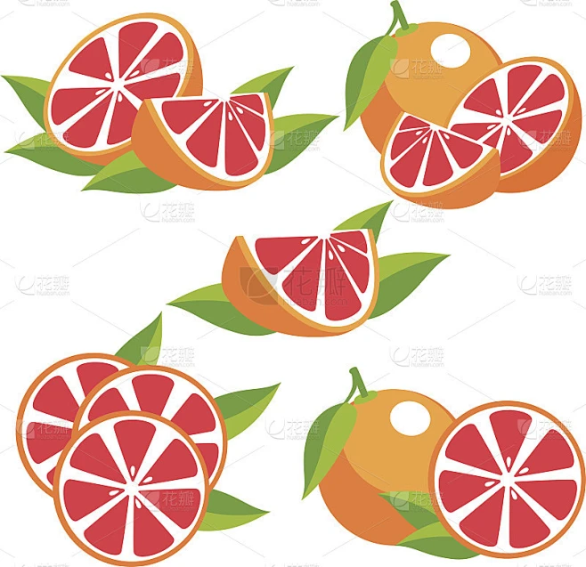 grapefruit_set素材-花瓣网