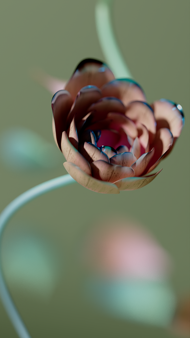 Daily digital flower experiment 2