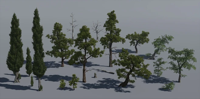 Nature Assets-花瓣网