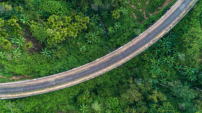 著名的Demodara九拱桥。艾拉,斯里兰卡。