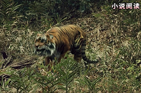 女-荒岛-小图-无-26LSQ-0929 (8)-花瓣网