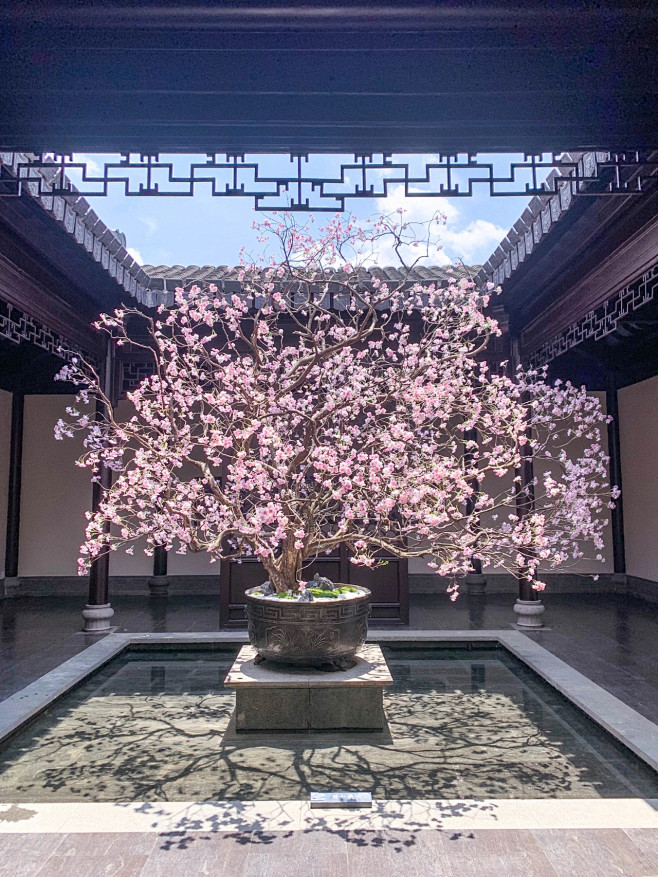 DB296985-9A19-4D40-9980-DB39CB615731