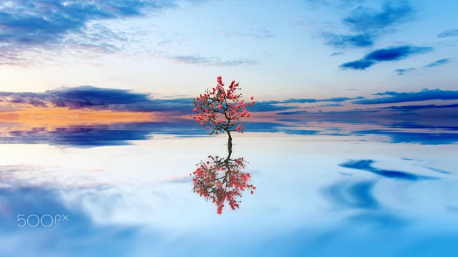 Flow / 500px-花瓣网