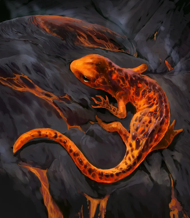 salamander, Denis Rutsky : salamander by Denis Rutsky on ArtStation.-花瓣网