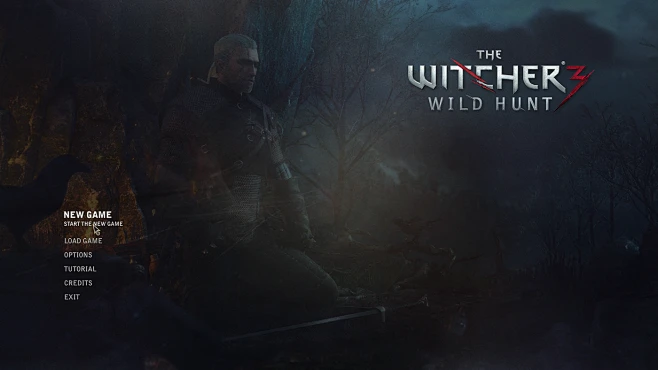 Witcher 3—UI & Gwint Redesigned : Redesign of Witcher 3 the game UI with focus on carefully ...