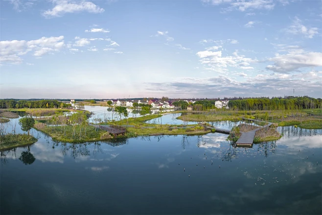 水乡盛景再现沪郊—江南圩田综合水生态系统修复设计 / SLADI – mooool木藕设计网图片_水生态、湿地图片素材-花瓣网